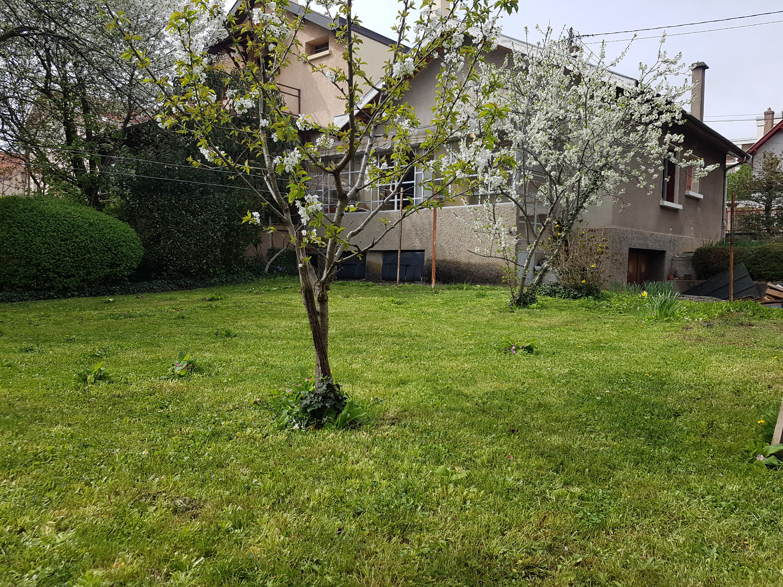 Vente CENTRE BRON Dohm Immobilier vente-centre-bron-dohm-immobilier